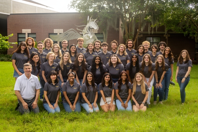 Experience | Dylan Vidal